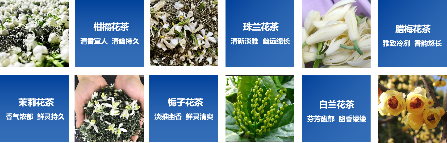 产品与服务-西大茶业